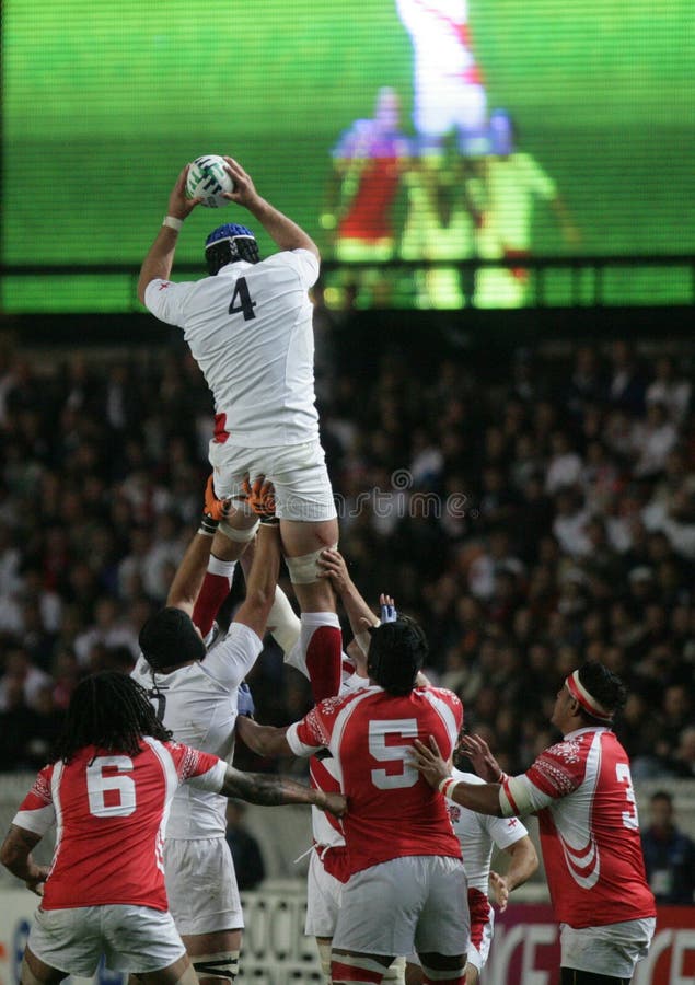 Gardening items stock vector. Illustration of drawing - 6410561