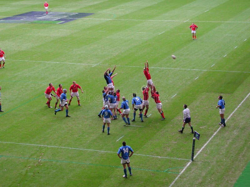 Line-out stock image. Image of audience, match, game, ground - 894093