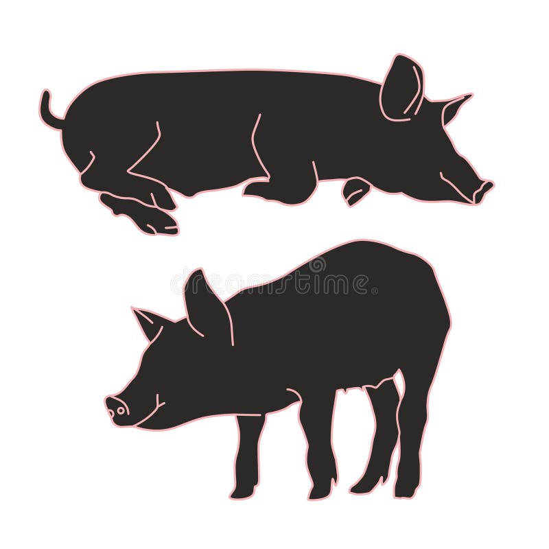 Line Outline Pig Sleeping and Standing, Stock Vector - Illustration of ...