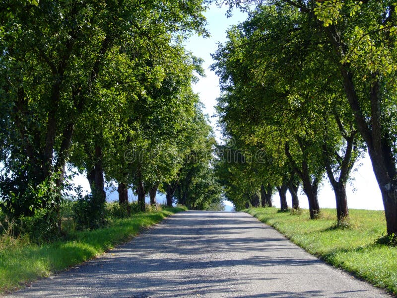 Line stock image. Image of travel, journey, leafy, country - 39341397