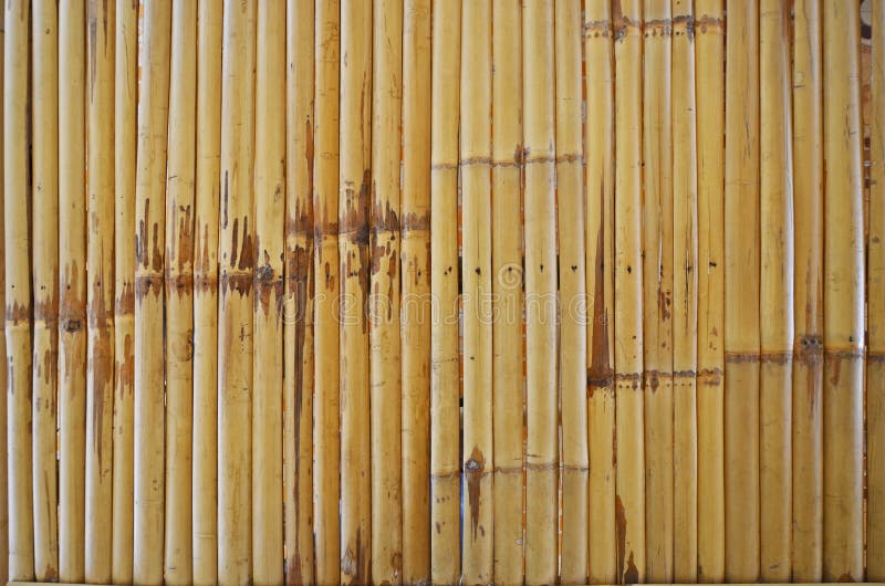 Line Pattern of Bamboo Laths Stock Photo - Image of culture, wall ...