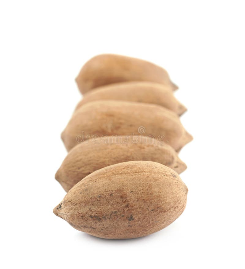 Line of Pecan Nuts Isolated Stock Image - Image of protein, crunchy ...