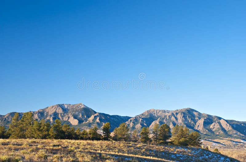 Line of Pines before Distant Large Mountains Stock Image - Image of ...