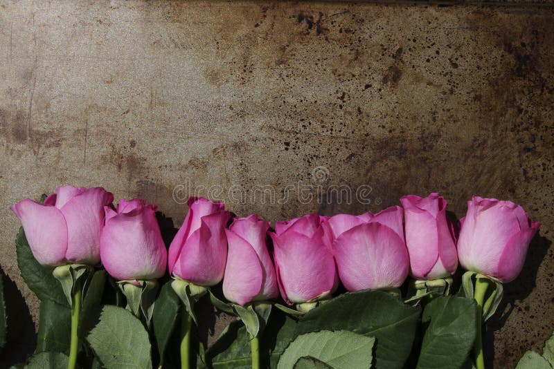 11,063 Curved Line Background Stock Photos - Free & Royalty-Free Stock ...