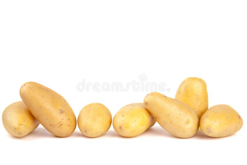 Potato farm in the field stock image. Image of earth - 27223795