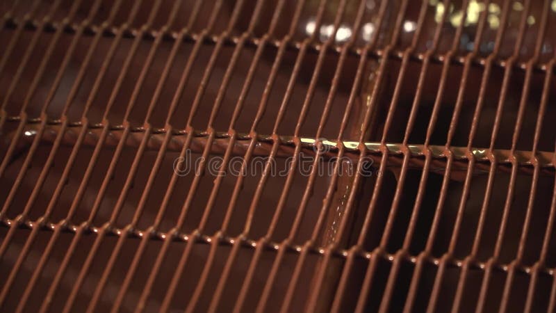 Chocolate Candy Packaging Conveyor. Confectionery Factory. Chocolate ...