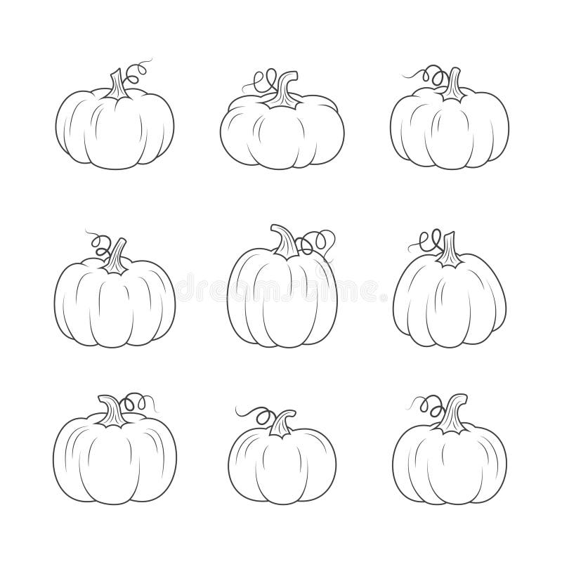 Line Pumpkins Set Fall Design. Vector Line Illustration on White ...