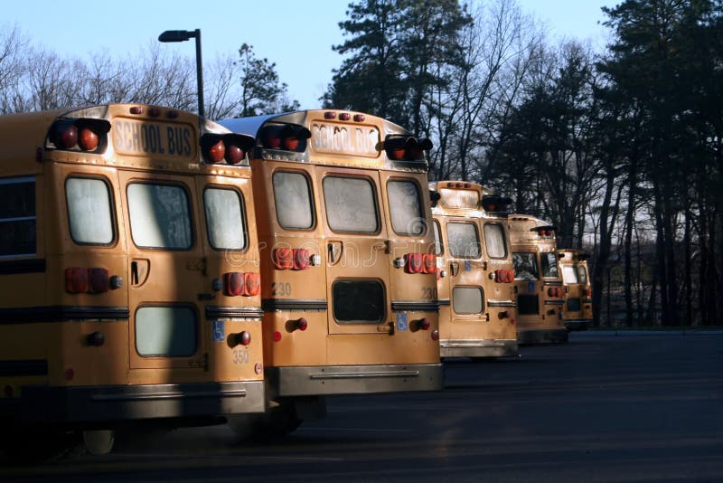 Line of School Buses stock photo. Image of busing, black - 10271330