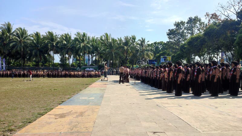 Line of Scouts in the Field Stock Photo - Image of line, people: 253644902