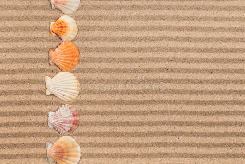Line of Seashells Lies on the Lines Made from Sand. with Space for ...