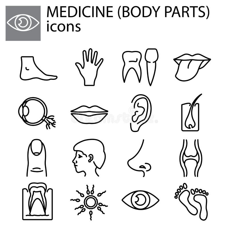 Line Face Parts Stock Illustrations – 774 Line Face Parts Stock ...
