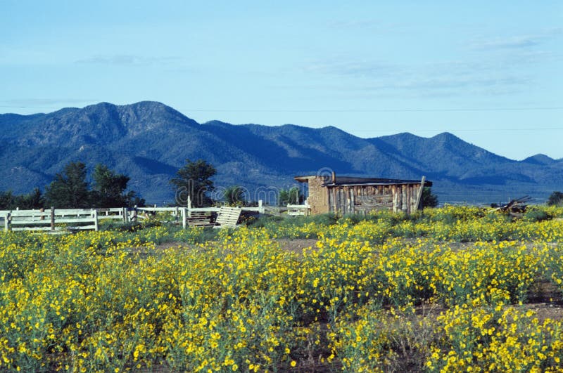 Line Shack in the West. stock photo. Image of plants - 11173594