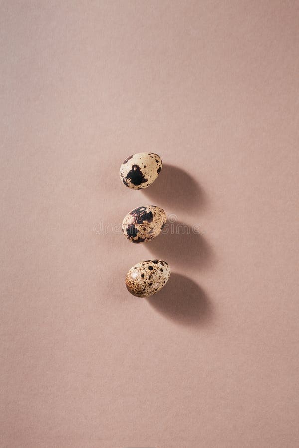 Line Shadows Quail Eggs Beige Minimal Background Stock Photos - Free ...