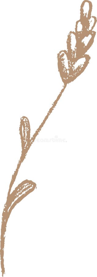 Line Sketch Easter Flower stock vector. Illustration of flower - 362525375