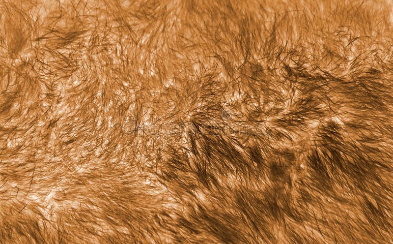 Line Smooth Abstract Background Stock Photo - Image of background ...