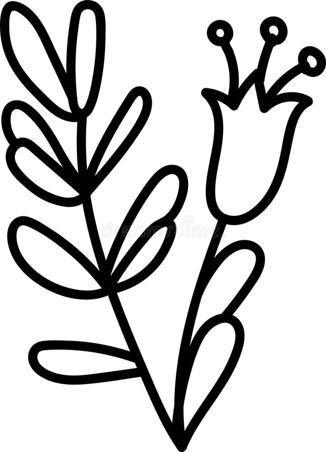 Line Spring Flowers stock vector. Illustration of line - 361292001