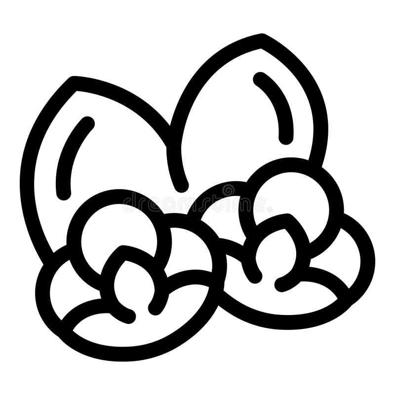 Line Style Icon Representing Shelled Macadamia Nuts for Healthy ...