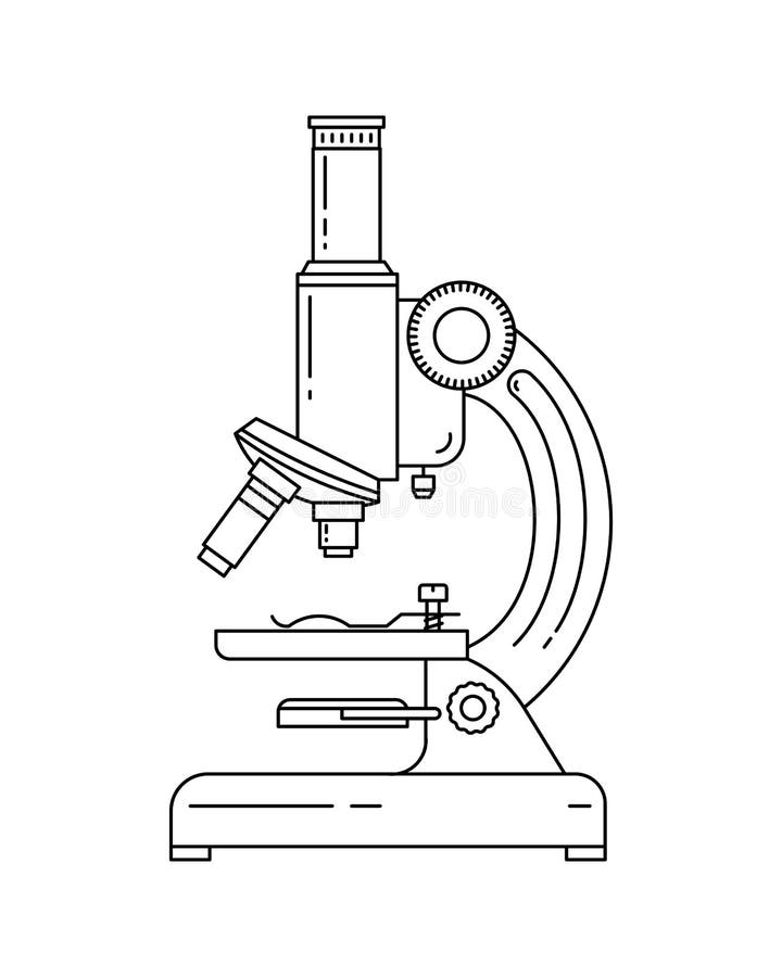 Microscope Slide Drawing