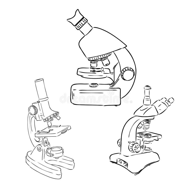 Line Style Vector Illustration of Microscope. Logo of Microscope Stock ...