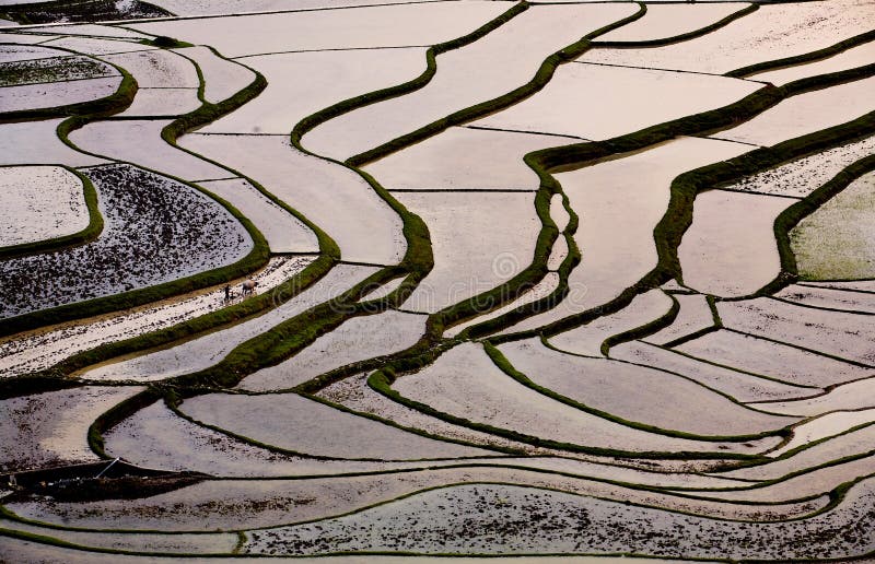 The Line Of The Terrace Picture. Image: 5337453