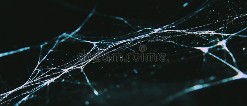 Line Texture Overlay with Thin Patterns and Delicate Details on a Black ...