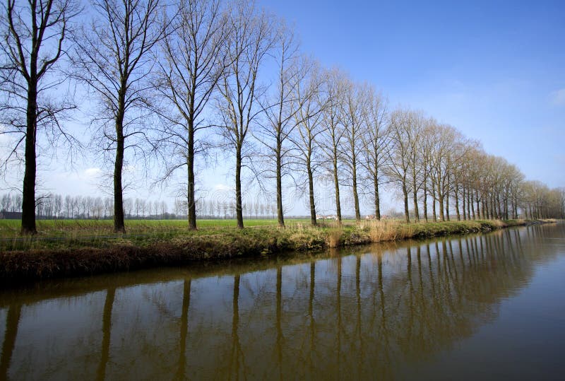 Line of trees stock image. Image of morning, landscape - 14532883