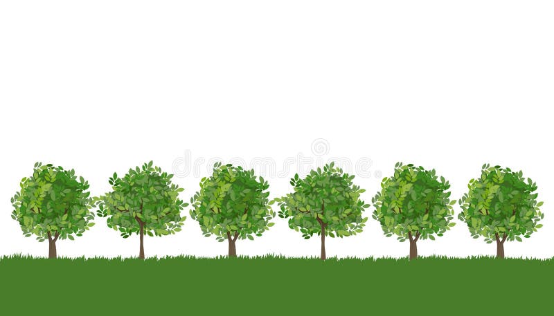 Line Of Trees On Lush Grass Stock Illustration - Illustration of branch ...