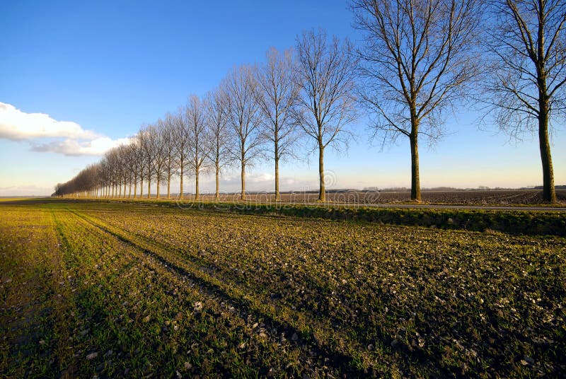Polish Landscape stock photo. Image of rural, road, landscape - 11816834