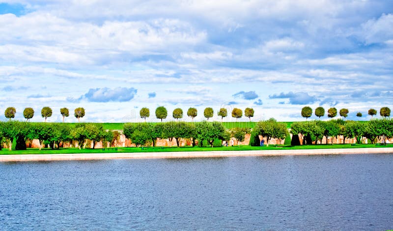 Line of trees stock image. Image of greenery, leaves - 32497305