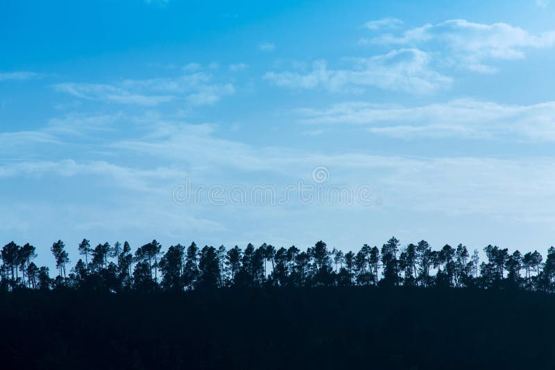 Line of trees on horizon stock image. Image of water, dark - 3330481