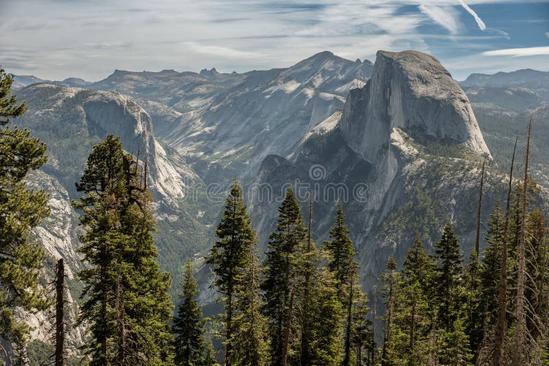 Line of Trees Stand Guard Over Half Dome Stock Photo - Image of summer ...