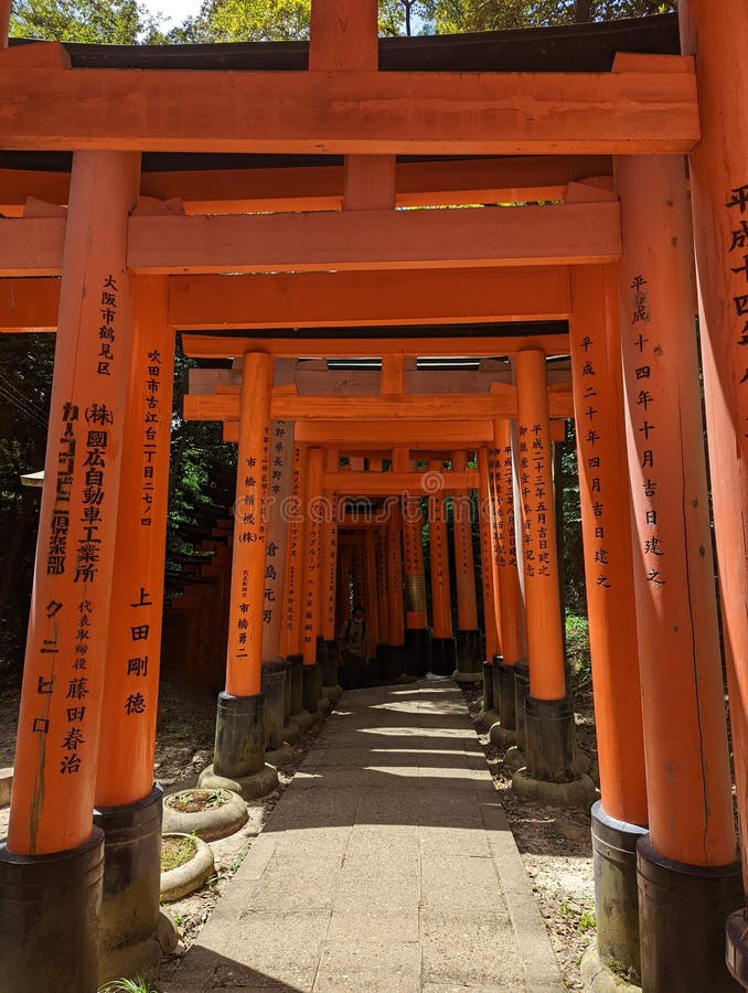 Line up of torii in Japan stock photo. Image of iron - 254645554