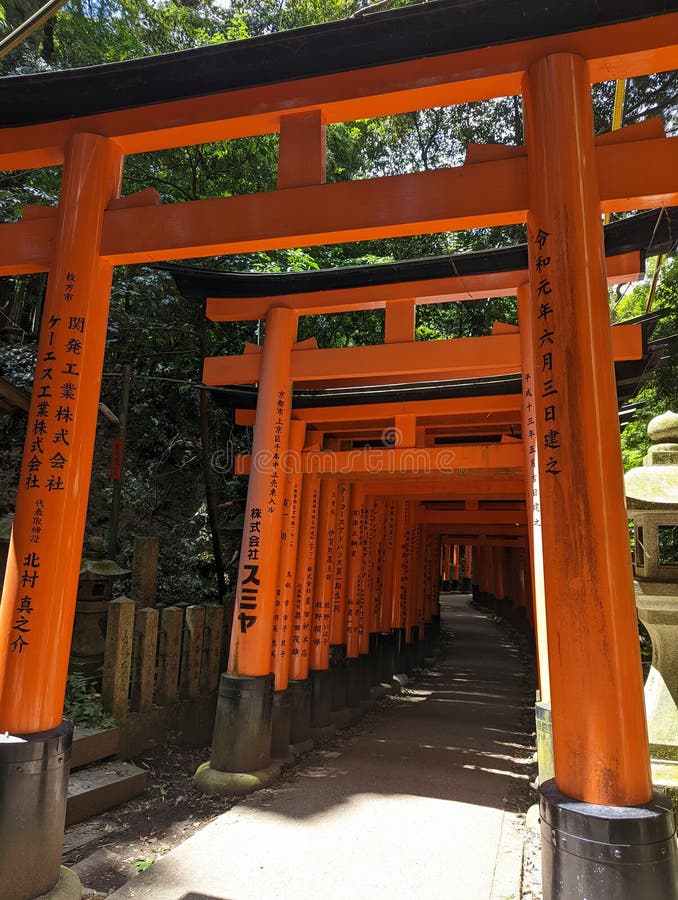 Line up of torii in Japan stock image. Image of building - 254645563