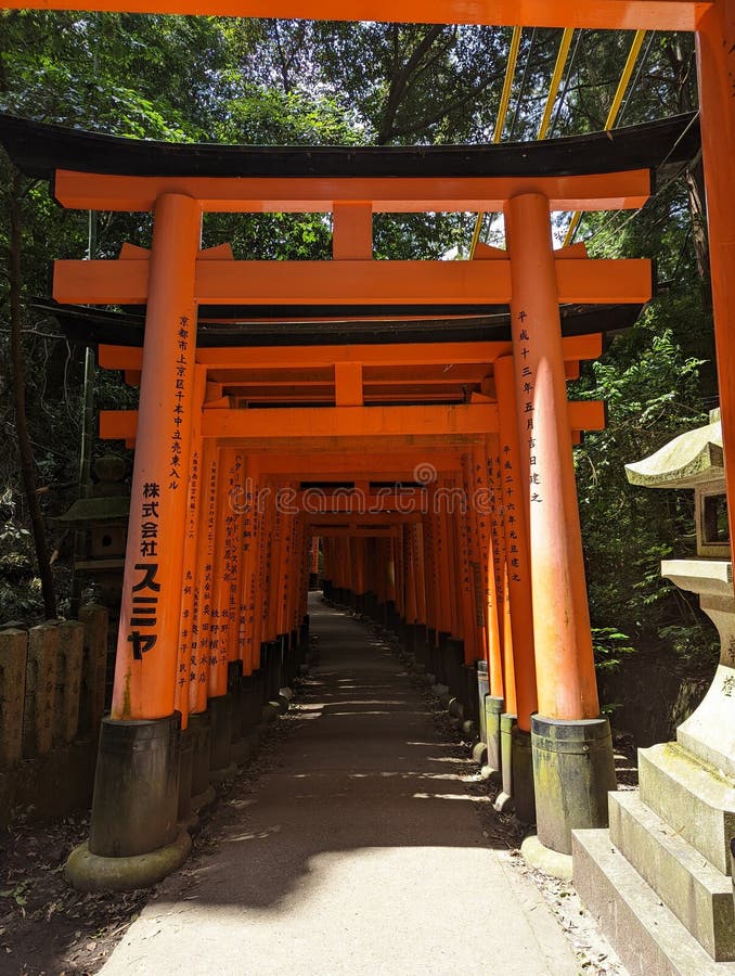 Line up of torii in Japan stock image. Image of shrine - 254645569