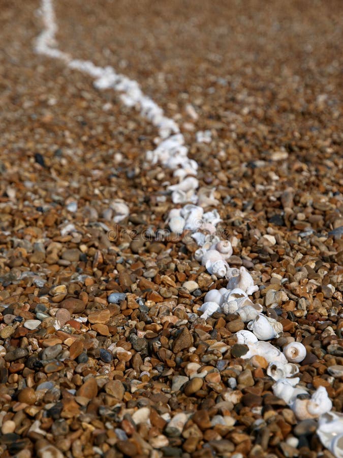 Line of White Shells on Beach Stock Photo - Image of distance, design ...