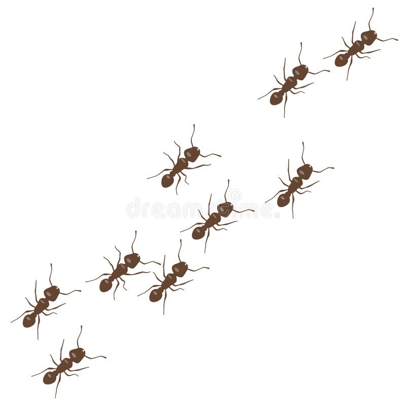 Line of Worker Ants Marching. Vector Isolated on White Background Stock ...