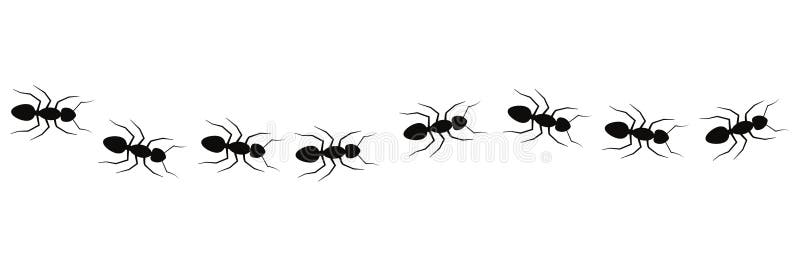 Line of Ants stock vector. Illustration of team, insect - 7134297