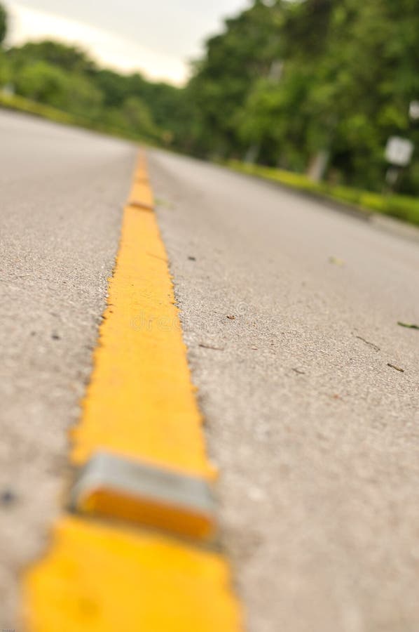 Line yellow in park stock photo. Image of travel, trees - 72307710