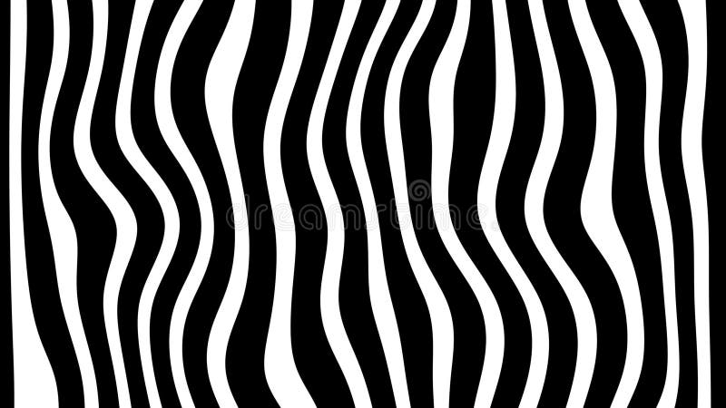 Zebra Stock Footage & Videos - 10,964 Stock Videos