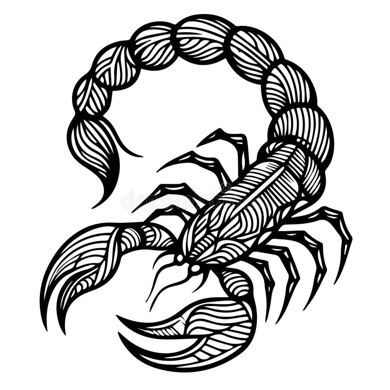 Linear Abstract Scorpion Drawing for Tattoo. Black and White ...