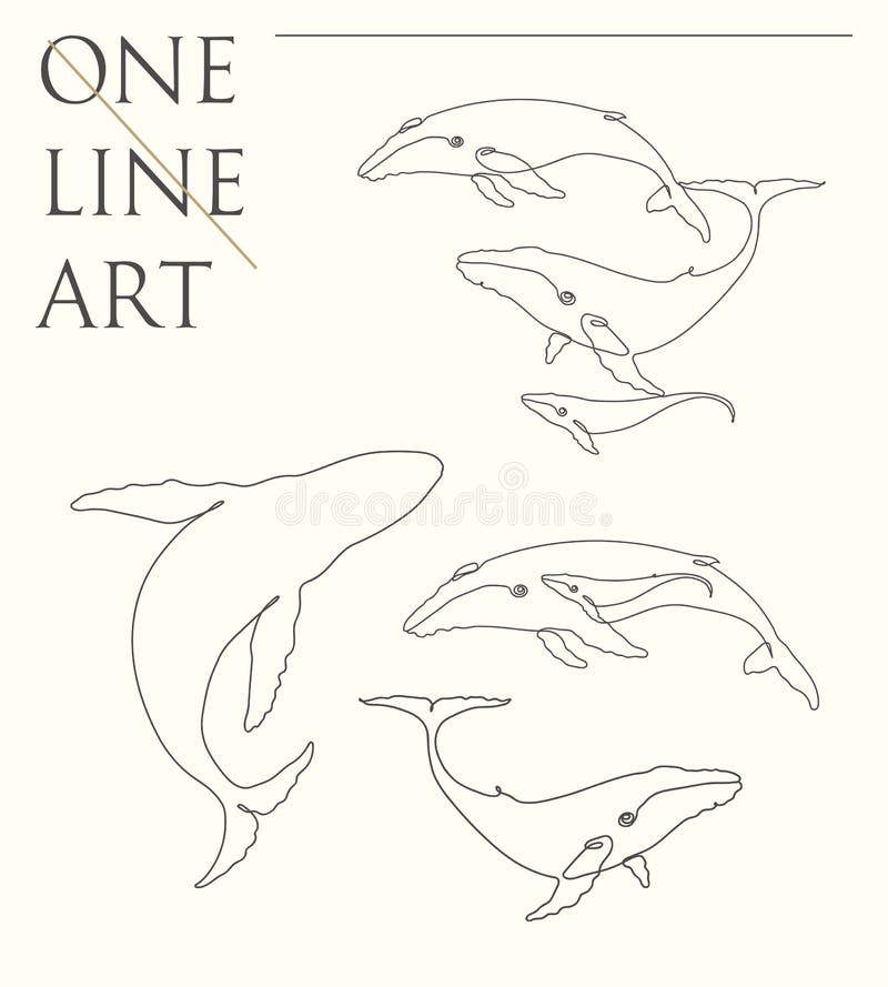 Whale outline stock vector. Illustration of icon, drawing - 264883628