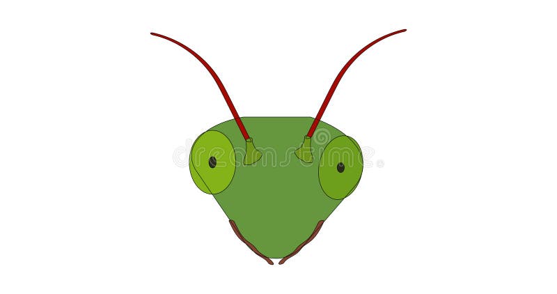 Linear Animation with the Head of a Mantis Insect Stock Video - Video ...