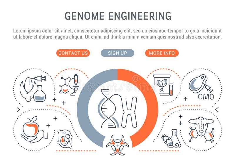 Linear Banner of Genome Engineering. Stock Illustration - Illustration ...