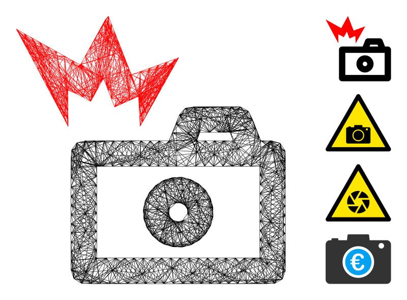 Linear Camera Flash Vector Mesh Stock Vector - Illustration of icon ...