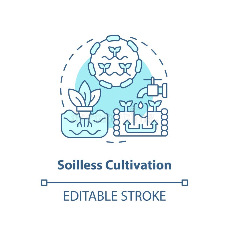 Linear Customizable Soilless Cultivation Icon Concept Stock Vector ... Linear Customizable Soilless Cultivation Icon Concept Stock Vector ...