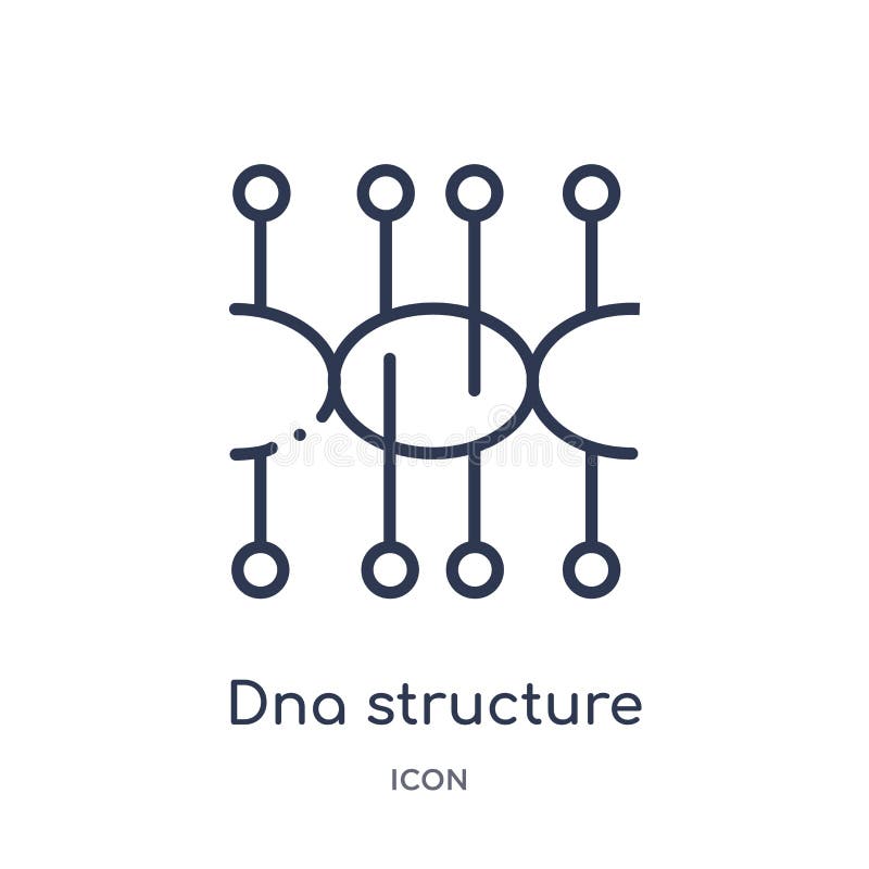 Linear Dna Structure Icon from Future Technology Outline Collection ...