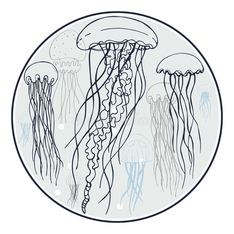 Jellyfish Drawings Easy