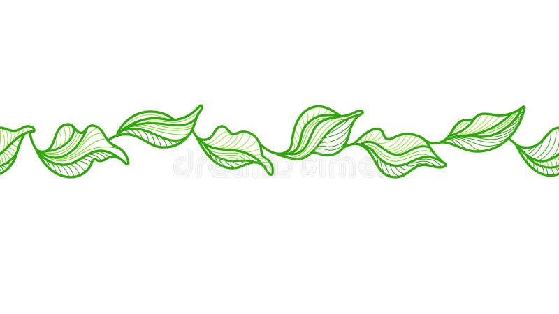 Linear Green Tea Leaves. Vector Art Seamless Strip Stock Vector ...