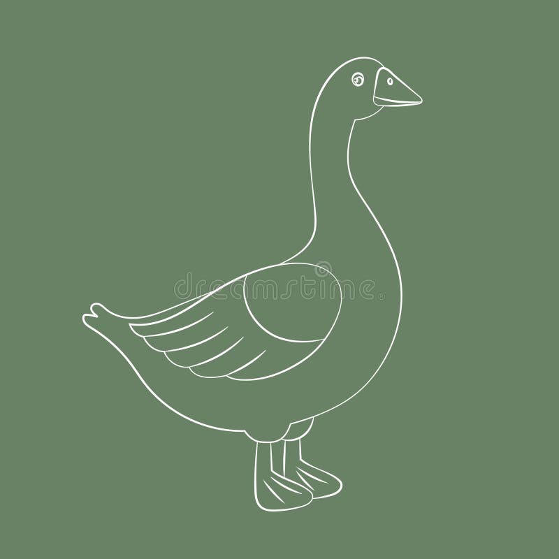 Linear Hand-drawn Goose. Line Art. Farm Poultry Stock Vector ...