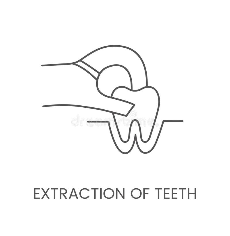 Linear Icon Extraction of Teeth. Vector Illustration for Dental Clinic ...